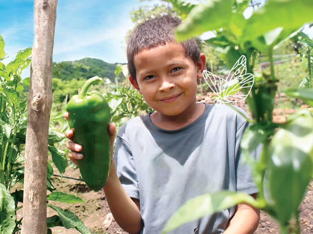 Gift Catalog | ADRA Gift Catalog